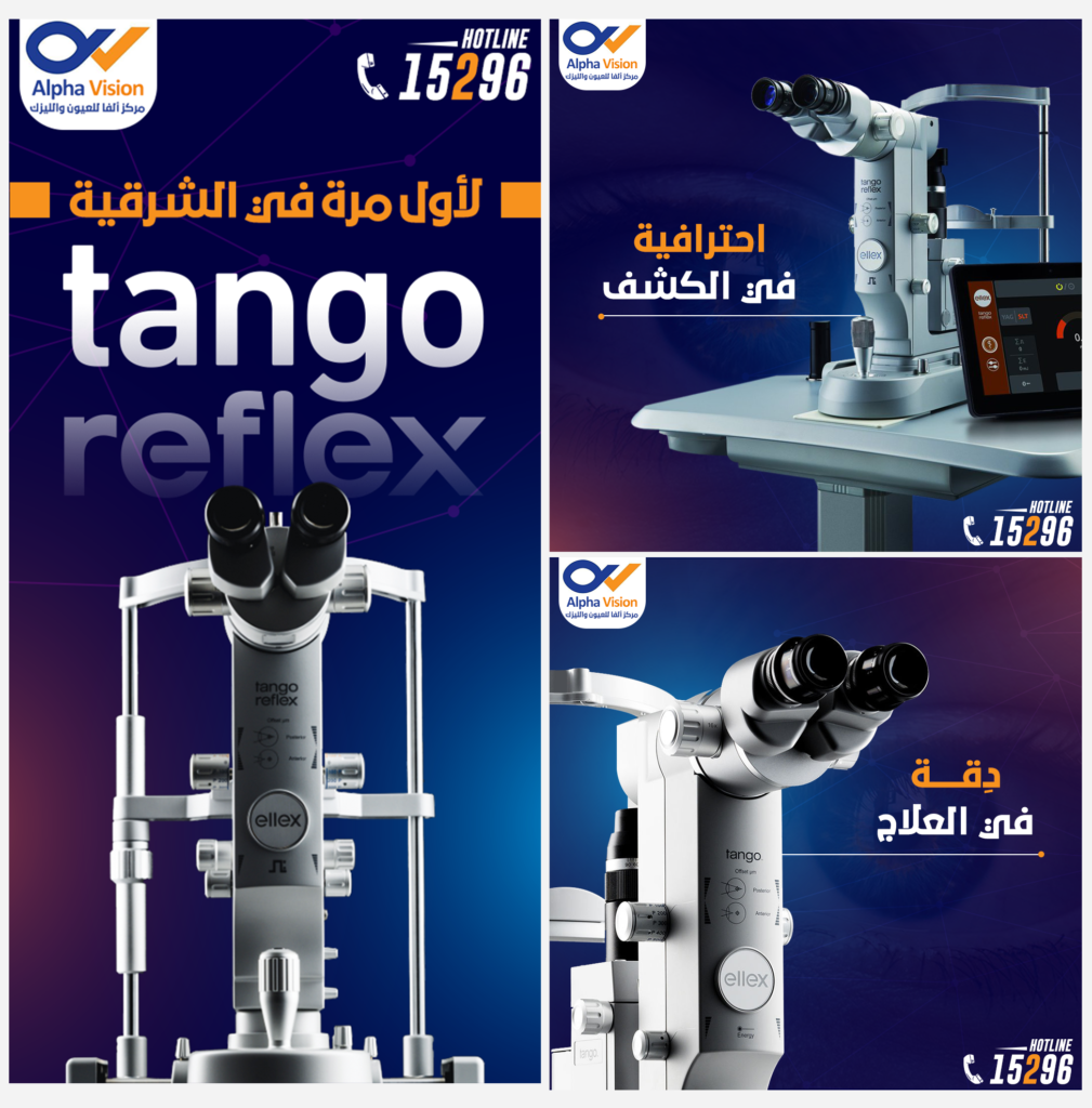 Portfolio - MGNSCOPE