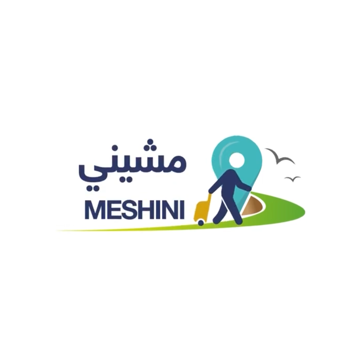 Meshini Application - MGNSCOPE